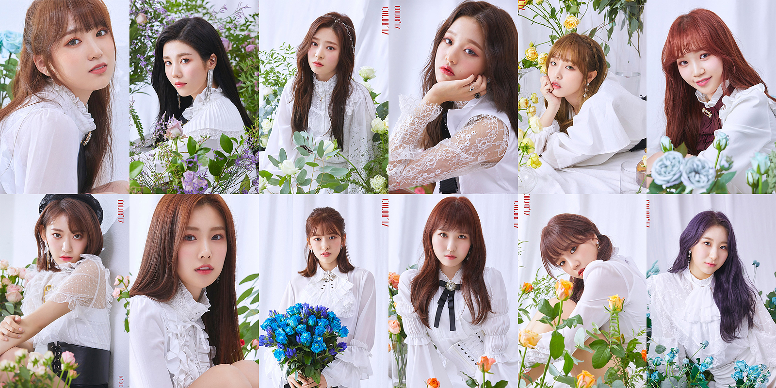 IZ*ONE dévoile ce à quoi ressembleront les deux versions de son premier ...